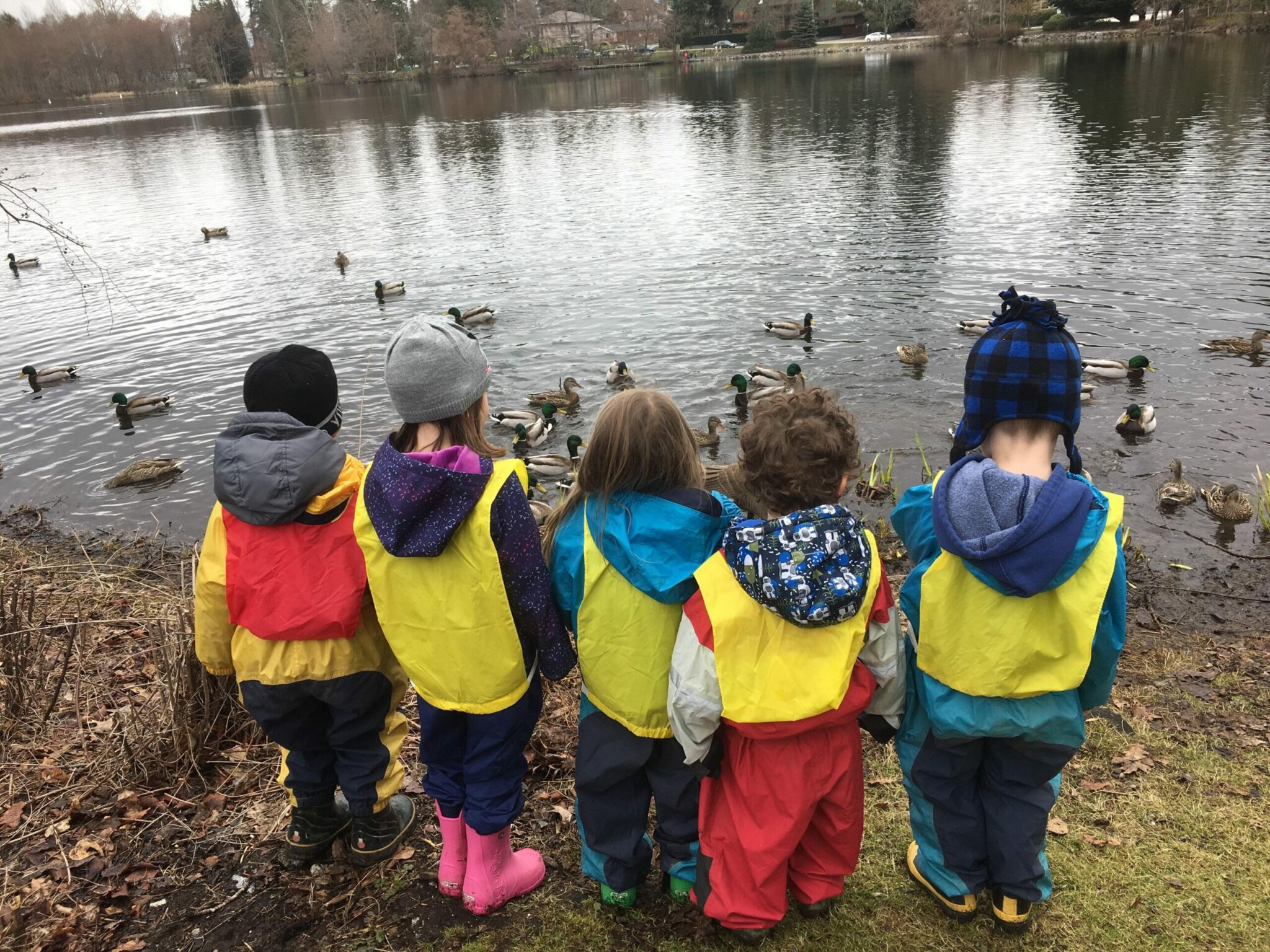 Preschool Program – Step by Step